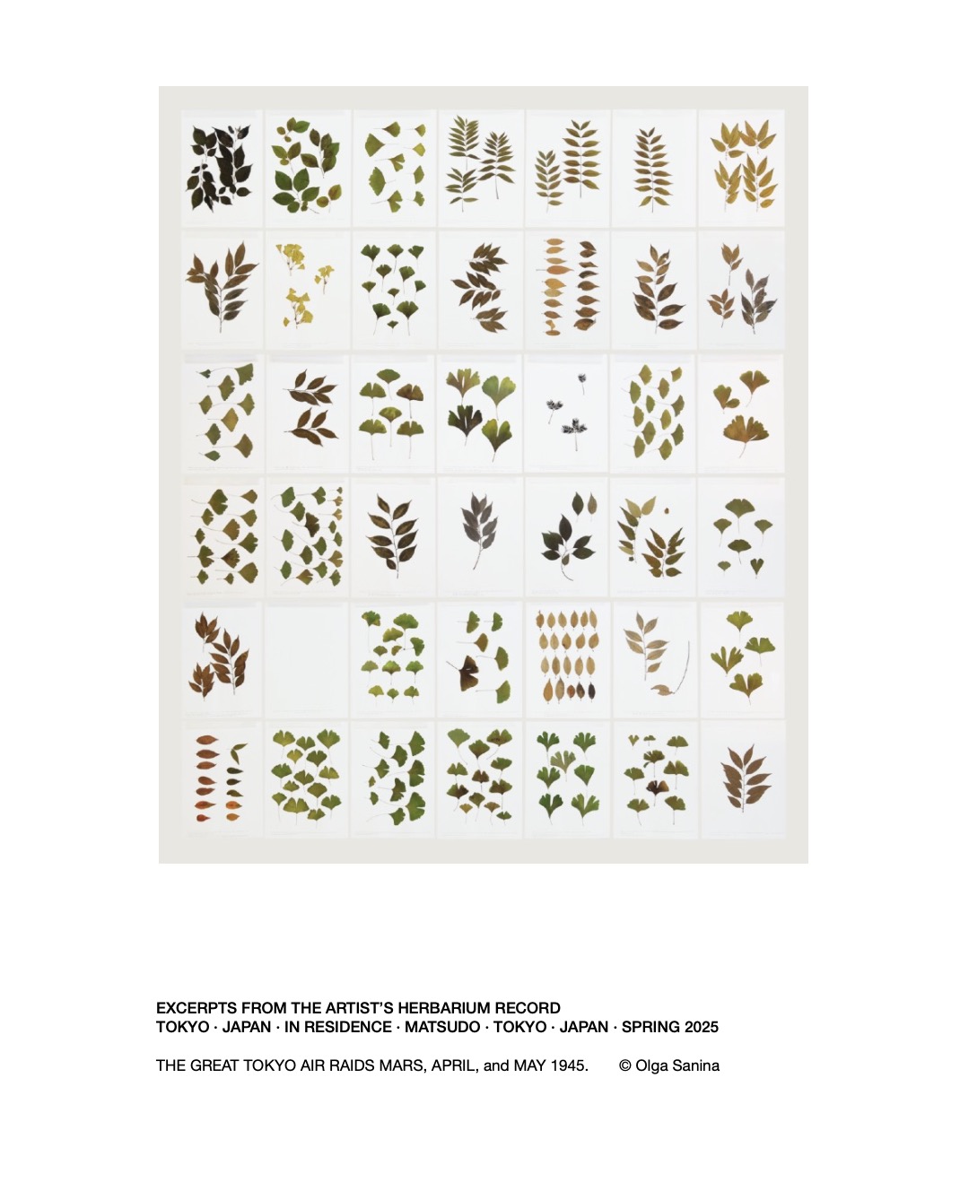 YARITORI | Olga Sanina Residency & Exhibition “In Praise of Shadows ...